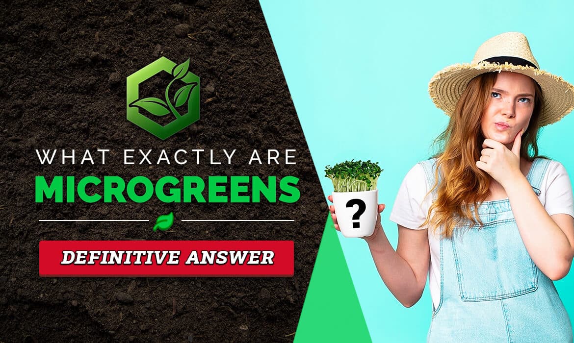 What Are Microgreens? #1 Definitive Clear-cut Answer!